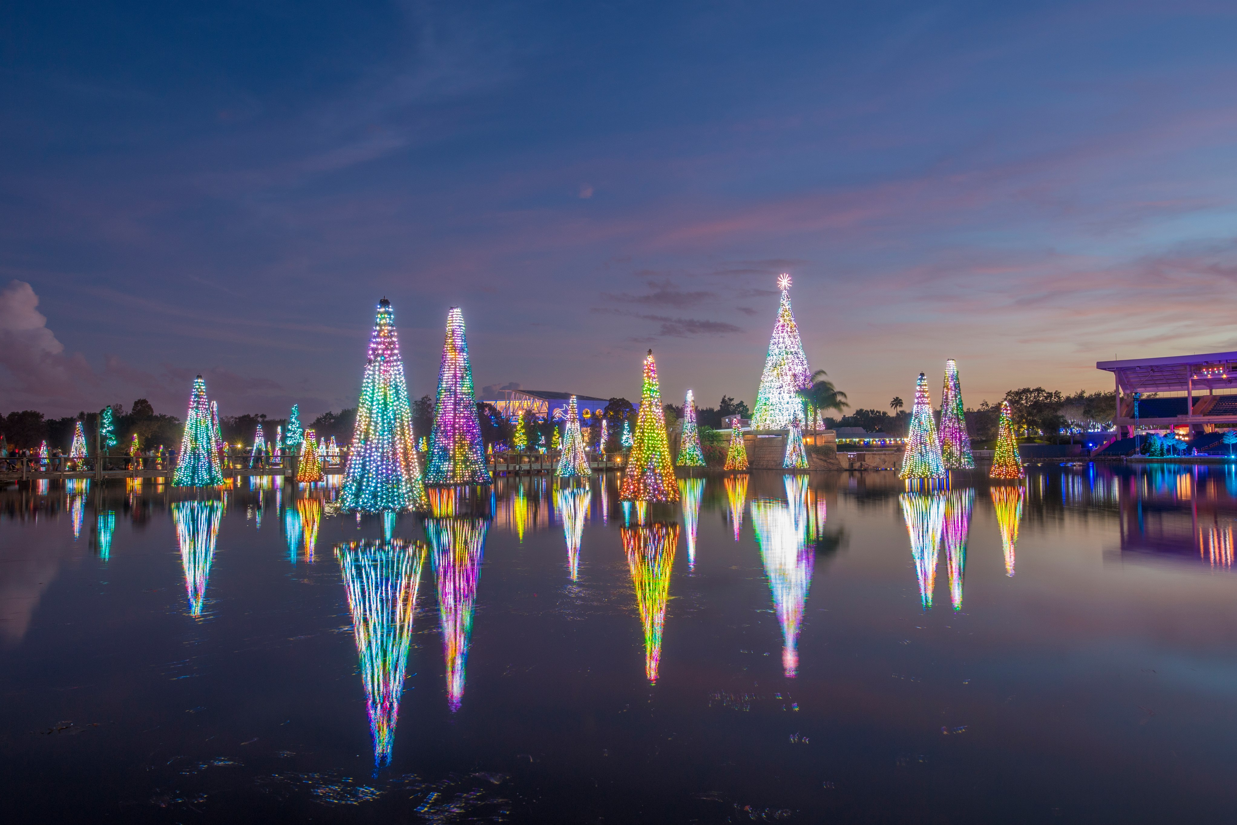 SeaWorld's Christmas celebration returns with more lights than ever ...