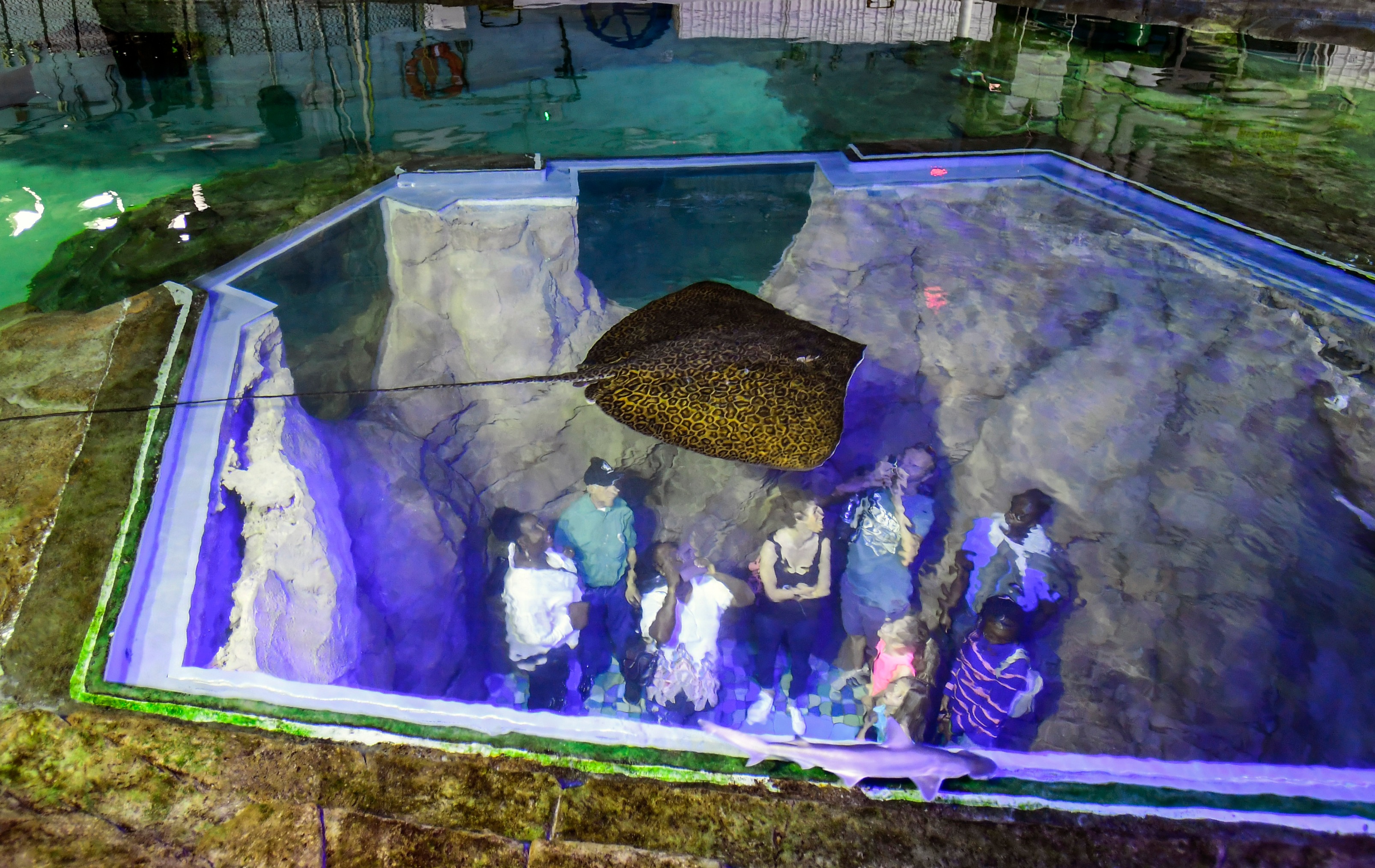 Get a Peek Behind-the-Scenes at SeaWorld’s Inside Look - Florida Parks
