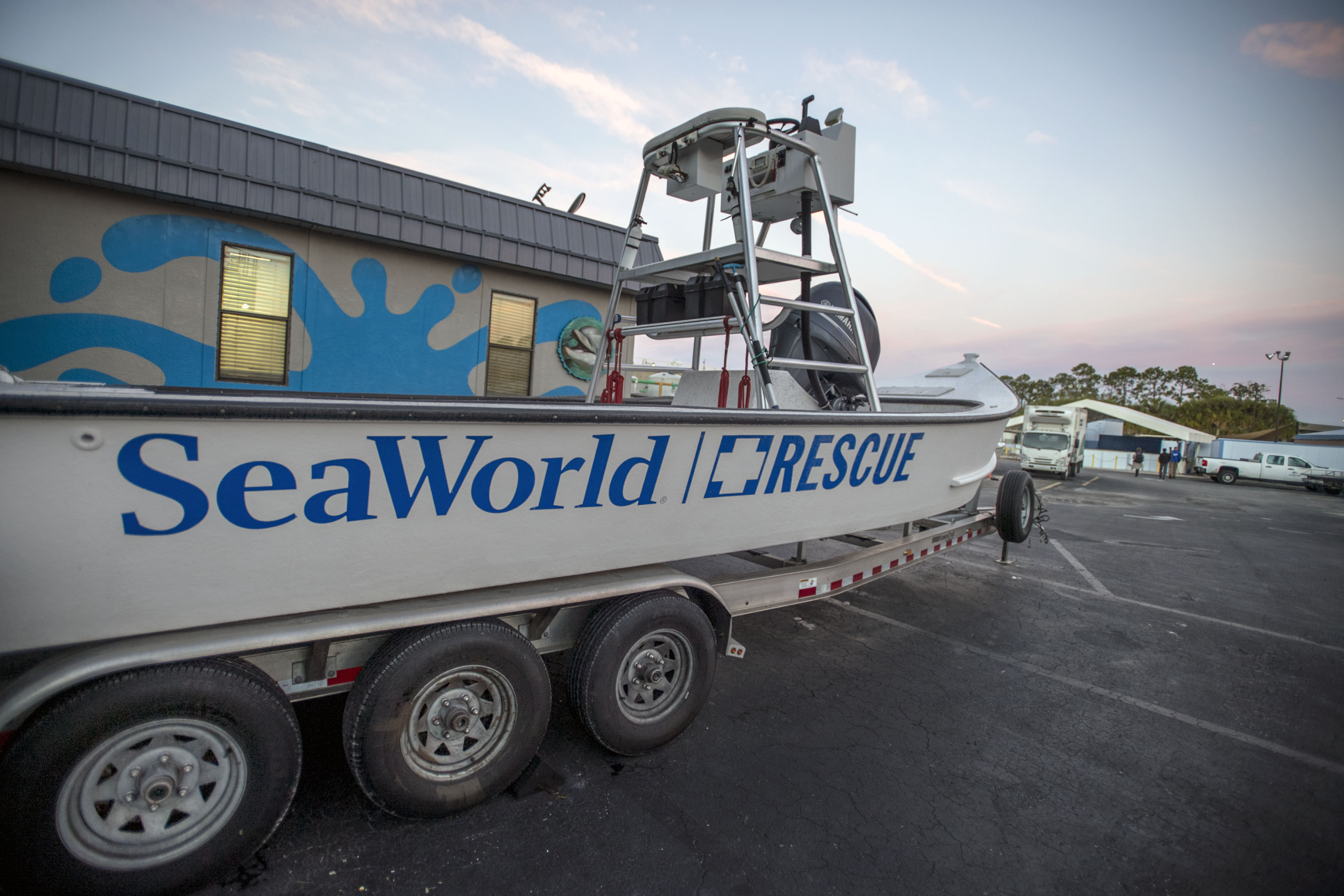 Get a Peek Behind-the-Scenes at SeaWorld’s Inside Look - Florida Parks